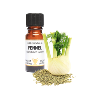 Fennel Essential Oil